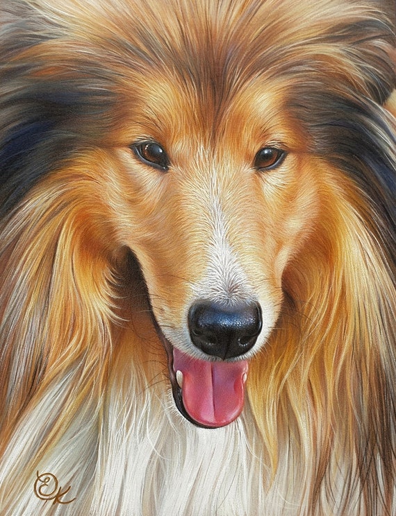 Was Lassie A Real Dog