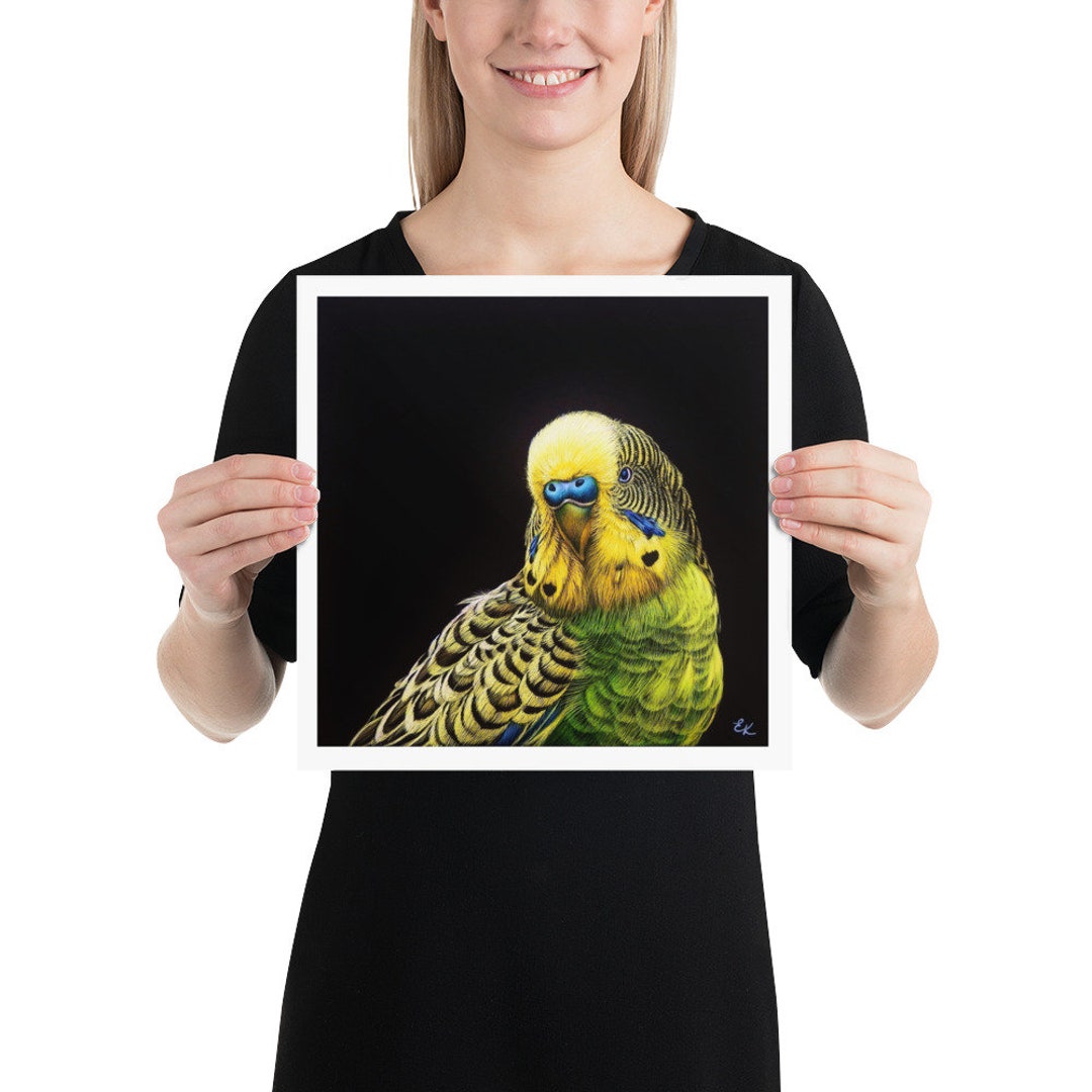 Green Budgerigar Art Print Poster Budgie Portrait Australian Parakeet ...