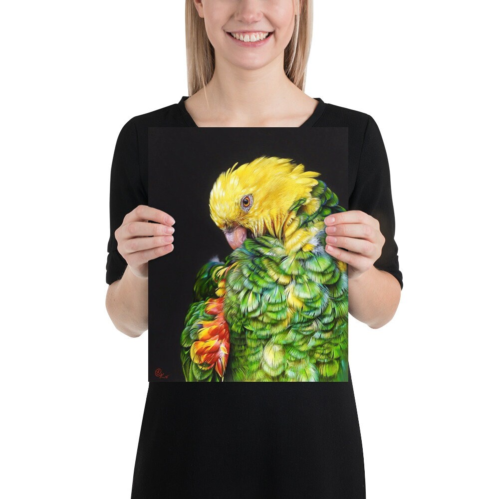 Yellow Headed Amazon Art Print Photo Paper Poster Parrot Wall Art Bird ...