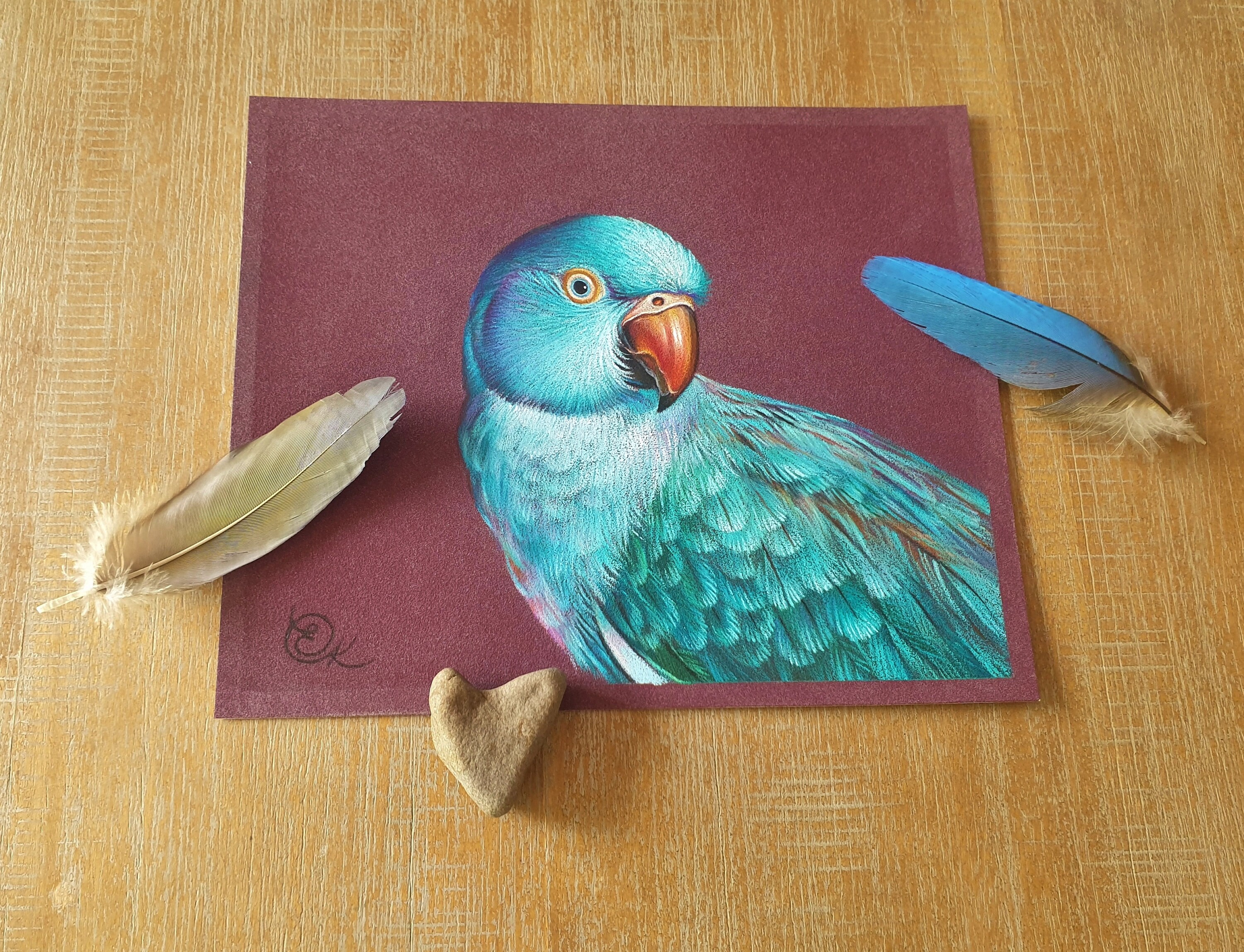 Blue Indian Ringneck Parrot Original Drawing Colourful Pet Bird ...