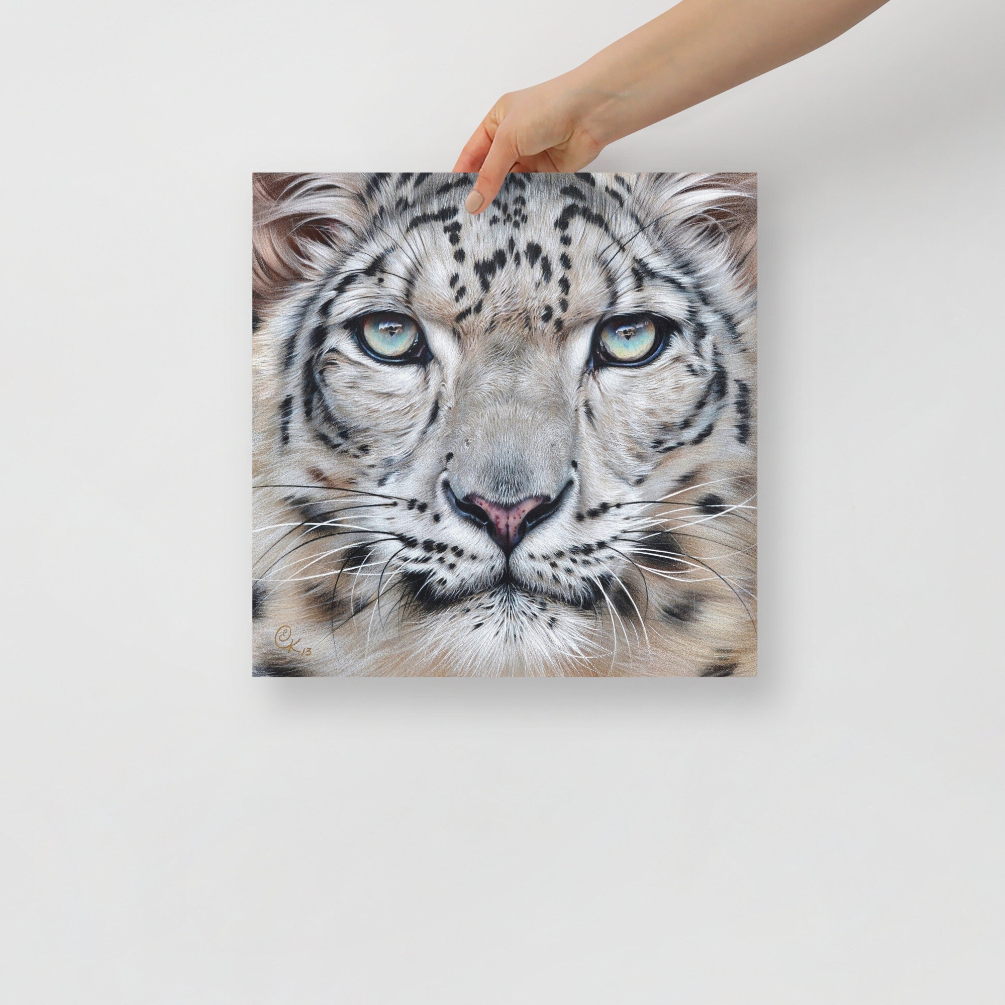 Snow Leopard Art Print Poster Close-up Leopard Drawing Reproduction ...