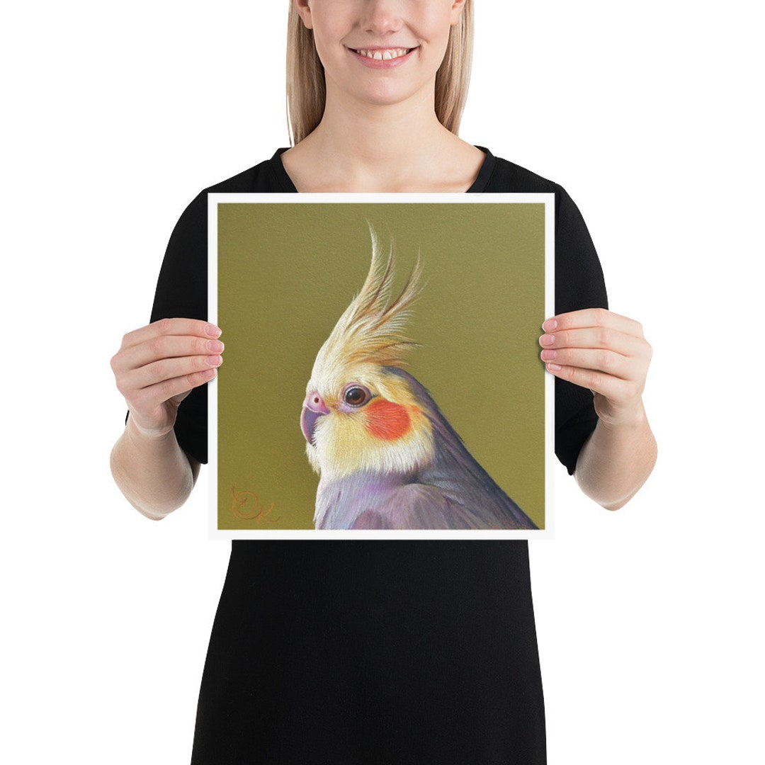 Cockatiel Drawing Art Print Photo Paper Poster, Parrot Portrait ...