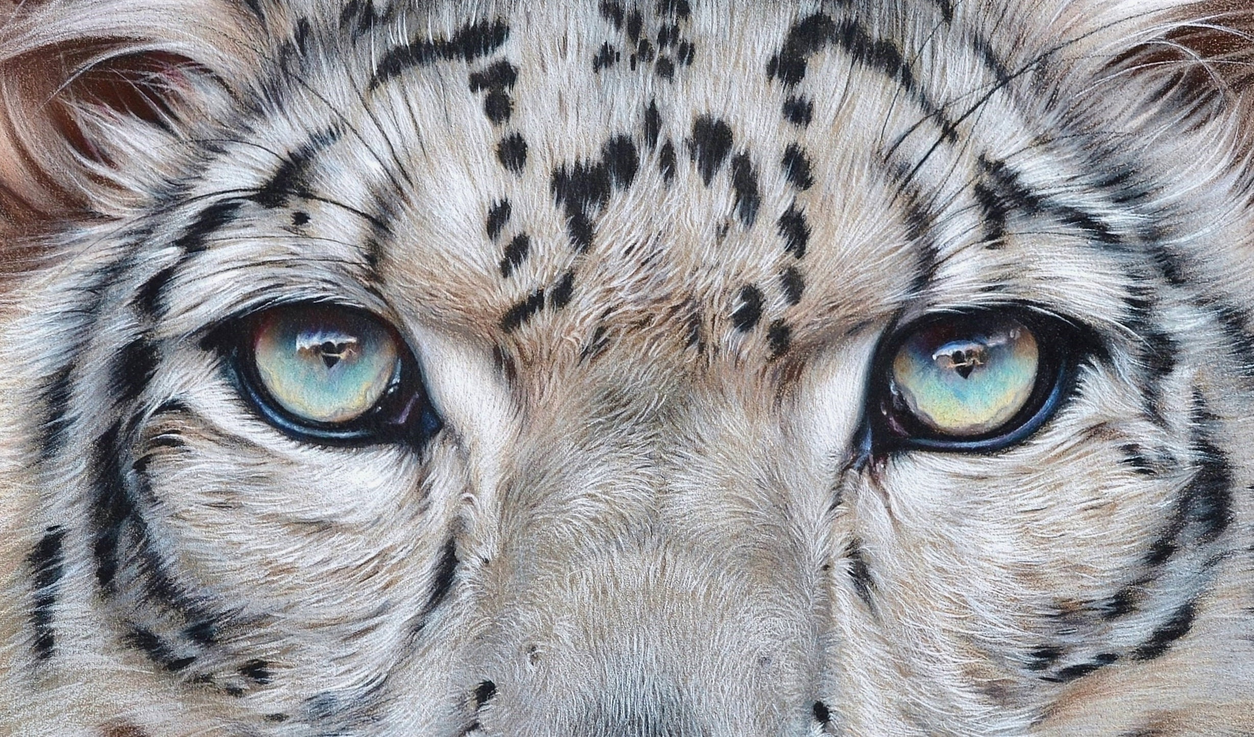 Snow Leopard Art Print Poster Close-up Leopard Drawing Reproduction ...