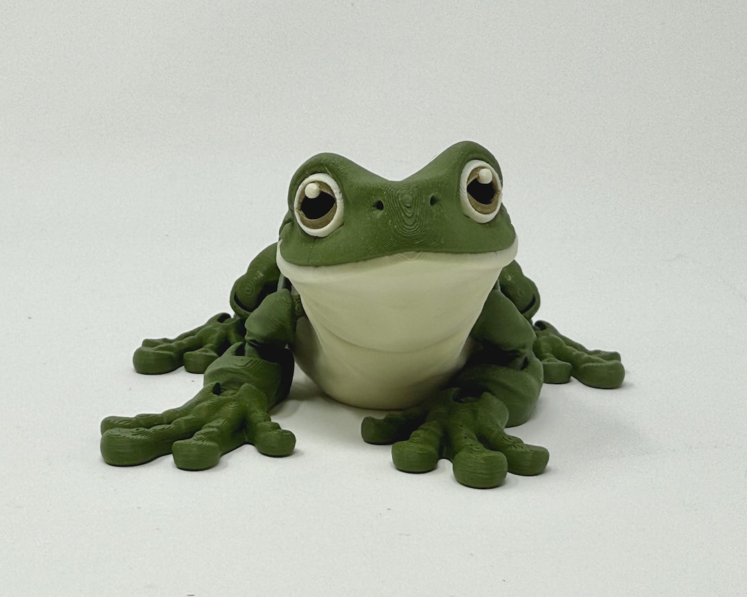 3D Printed Flexi Toad Fidget - Articulated Tree Frog Toy Magnet - Etsy