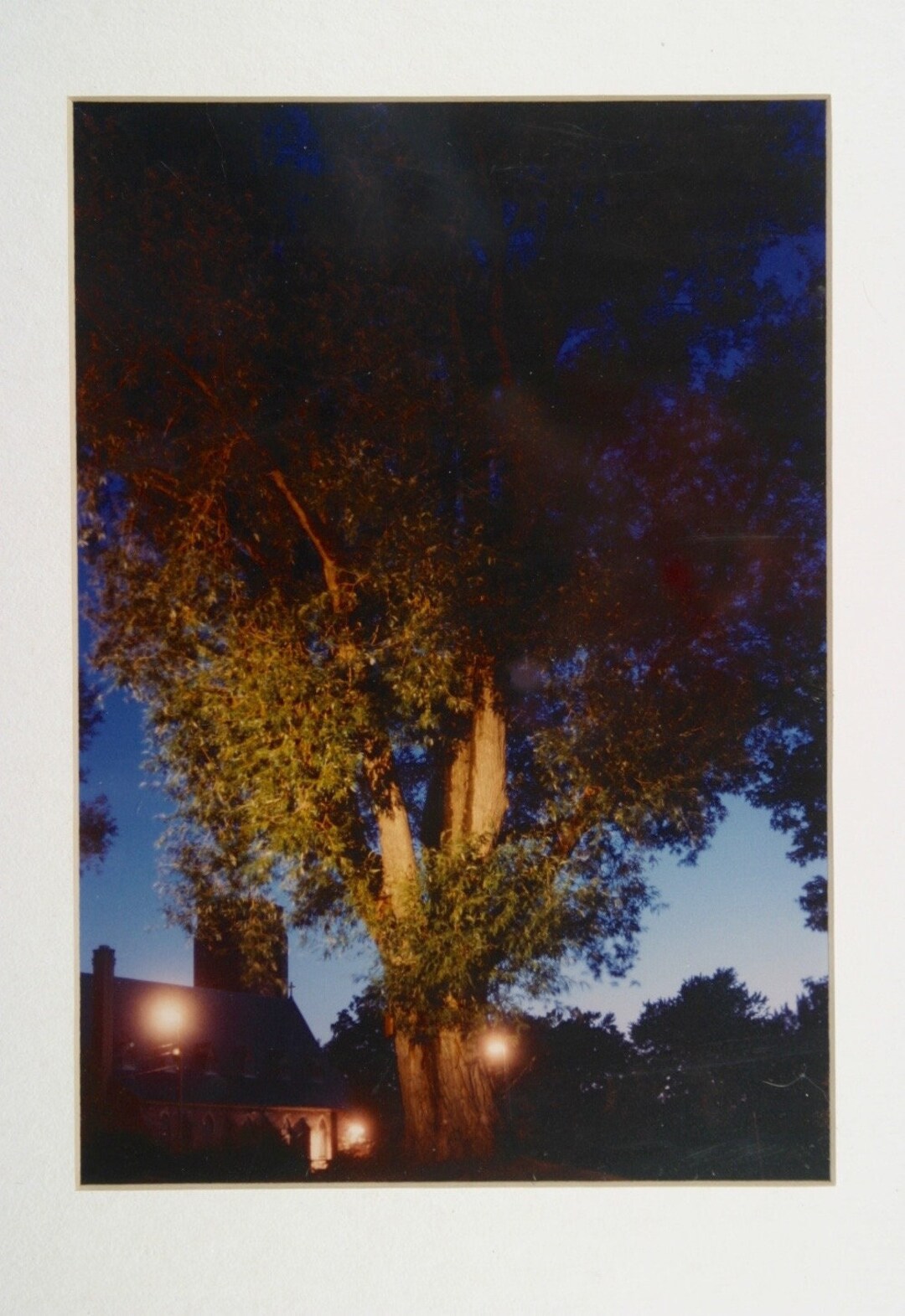 Maxfield's Tree - Etsy