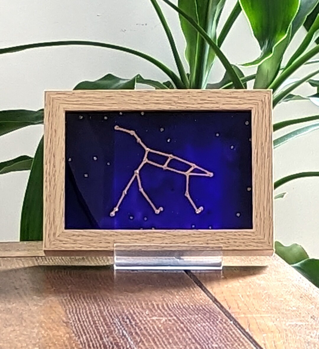 Celtic Astrology the Constellation of the Great Bear Chestnut Table to ...