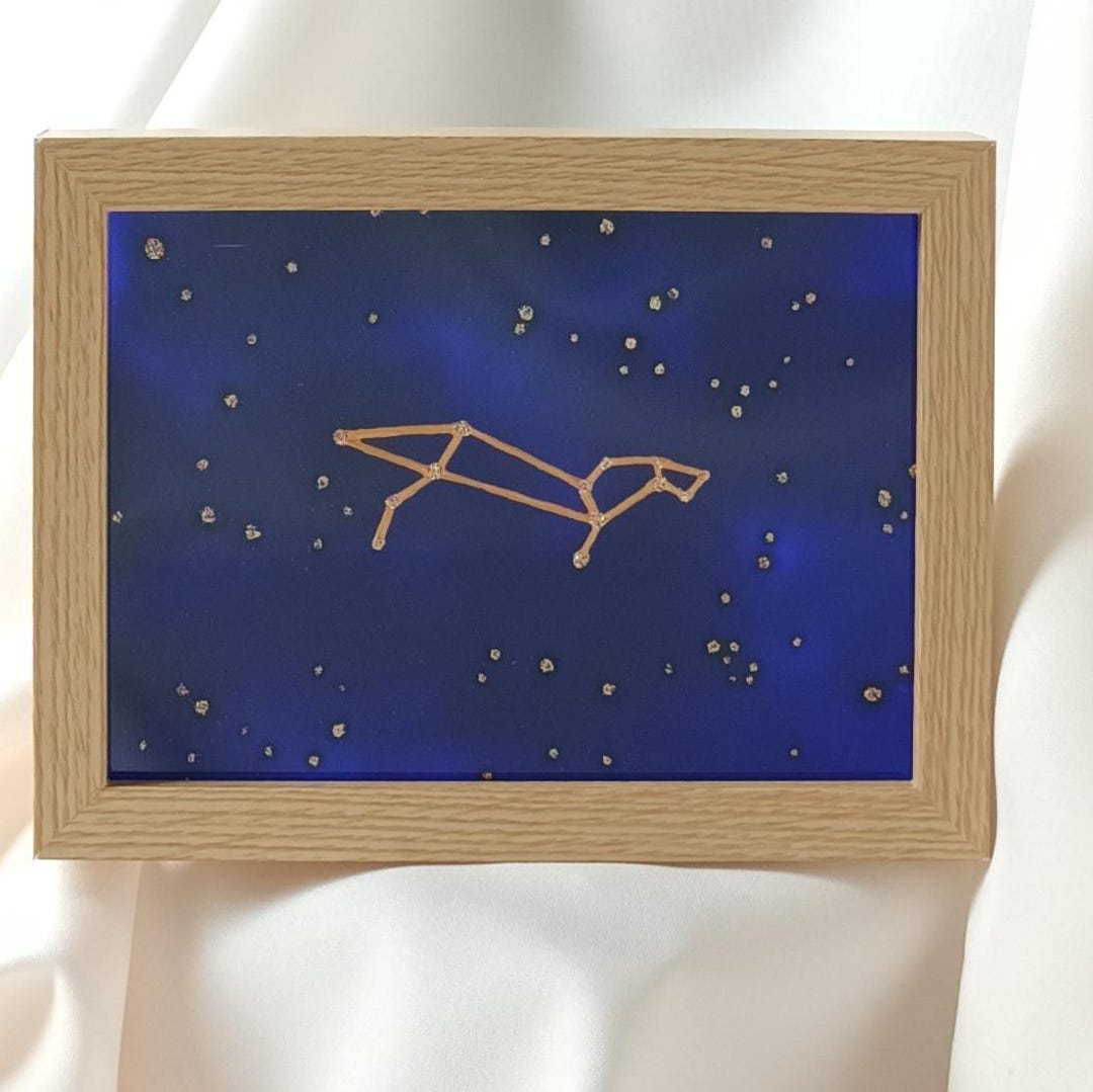 Constellation of Leo in the Starry Sky Surrounded Between Cancer and ...