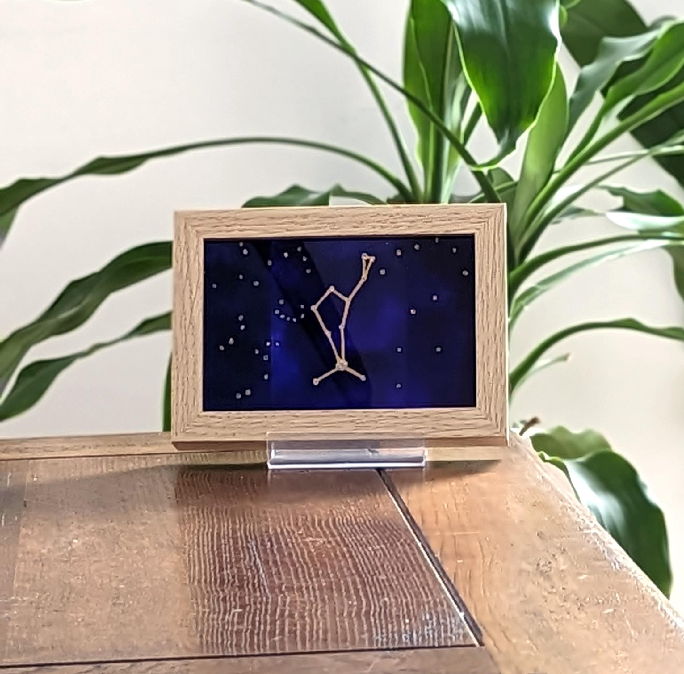 Celtic Astrology the Constellation of the Herdsman Hackberry Table to ...