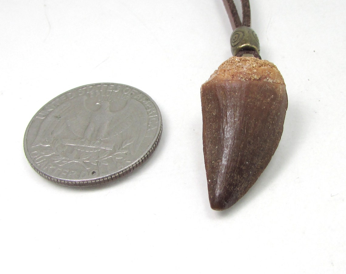 Dinosaur Tooth NecklaceMen Pendant Leather | Etsy