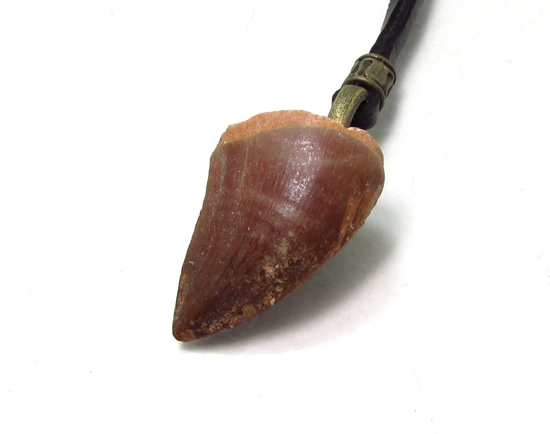 Dinosaur Tooth Necklace Men Pendant Leather Necklace Gift - Etsy