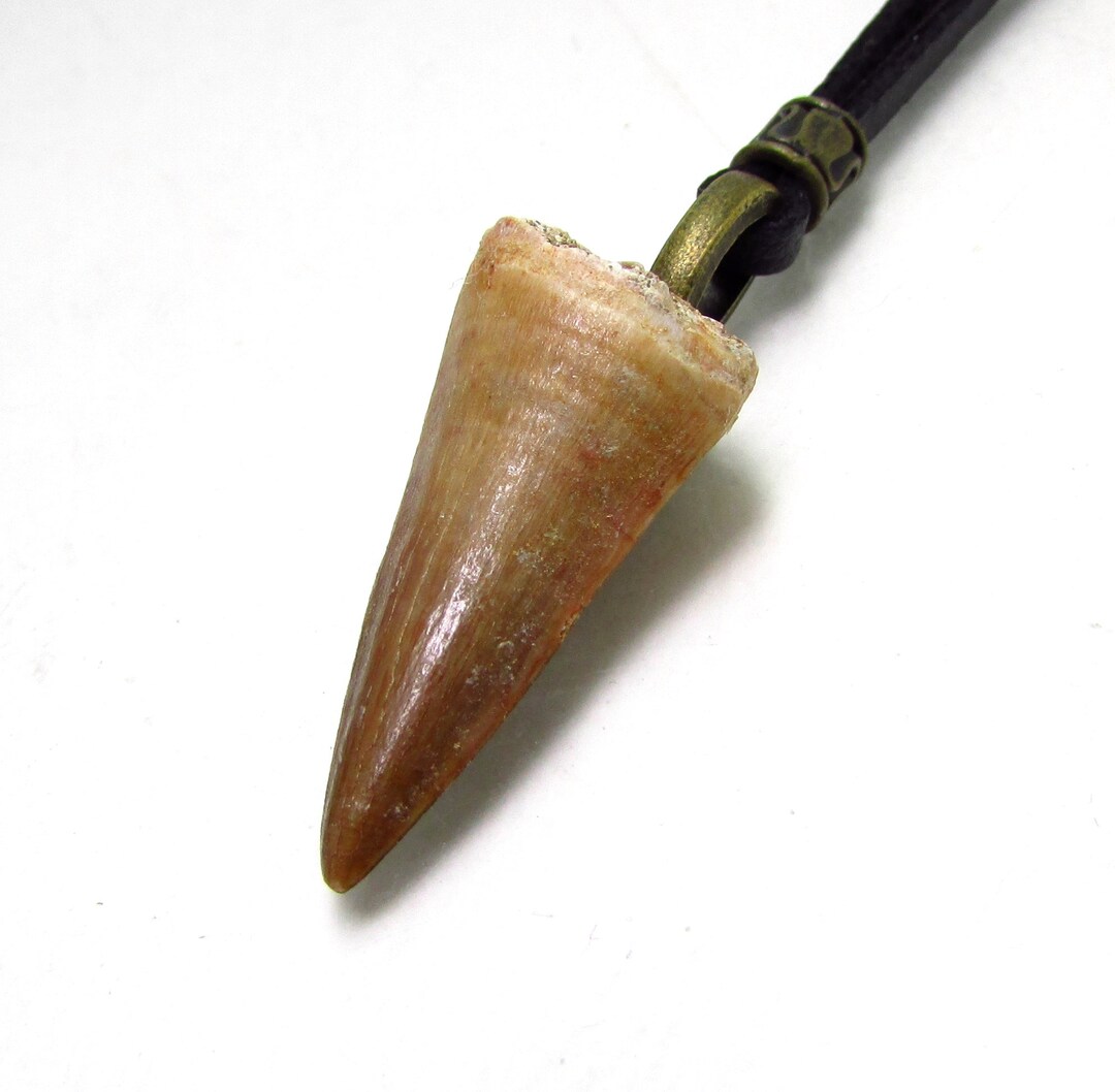 Dinosaur Tooth Necklace,men Pendant Leather Necklace, Gift for Boys ...