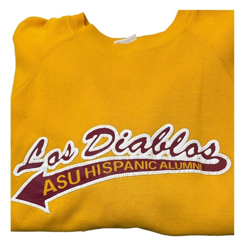 1990s Hanes Arizona State University Single Stitch Sweatshirt XL Sun ...