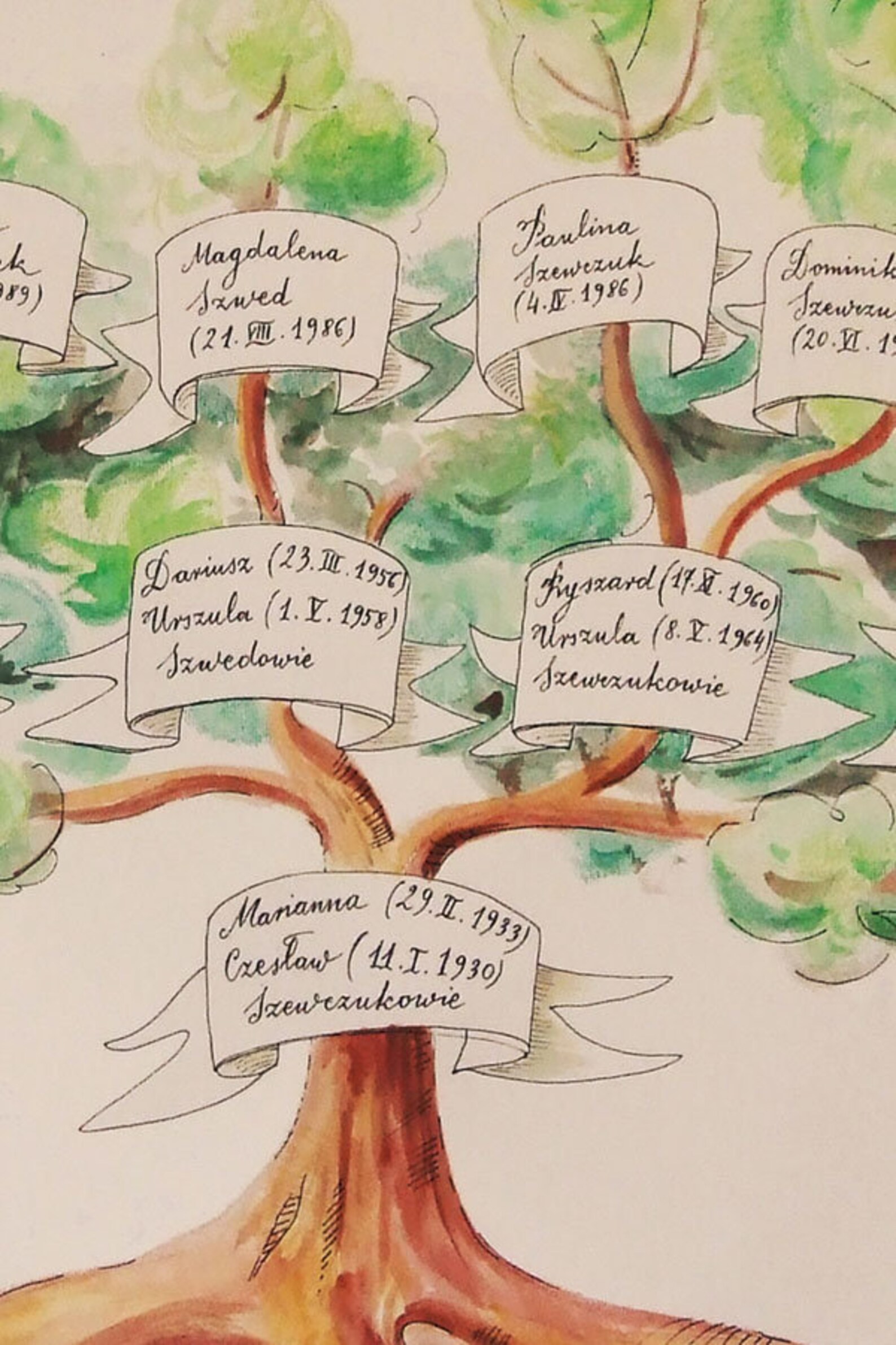 Family Tree Painted on Cardboard - Etsy