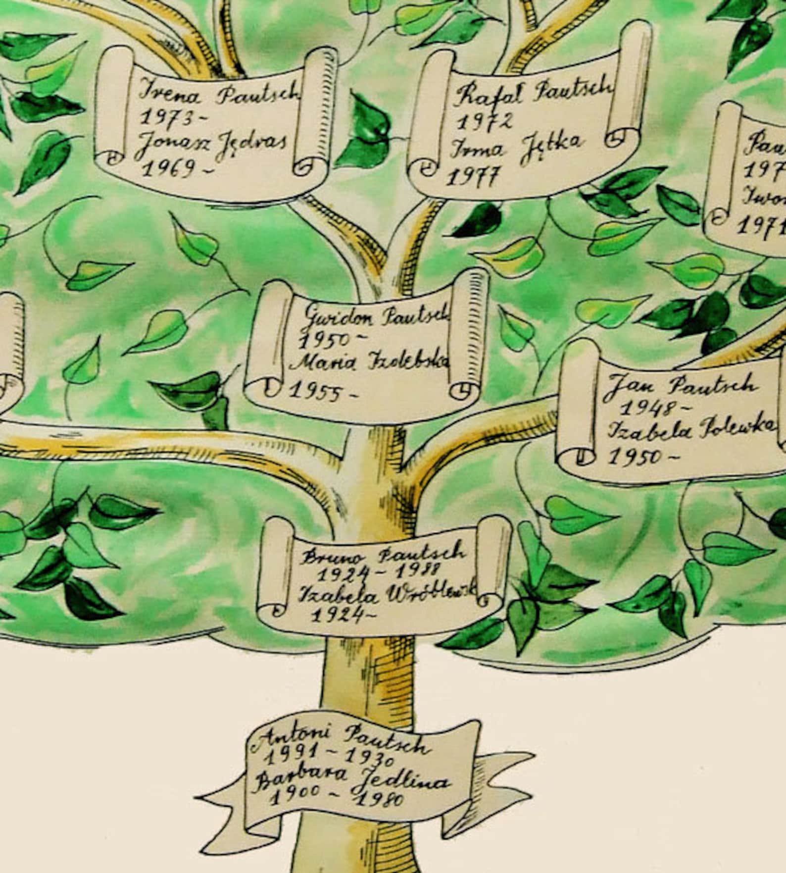 Family Tree Painted on Cardboard - Etsy