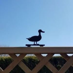 Fence Post Topper, Garden Ornament- *DUCK* - Etsy