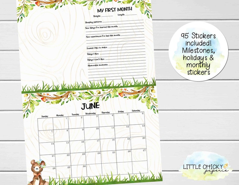 Woodland Animals Baby First Year Calendar Forest Animals | Etsy