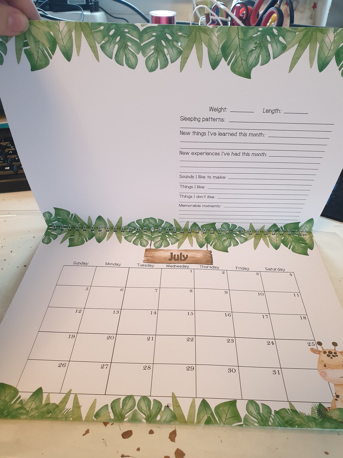 Safari Animals Baby First Year Calendar Jungle Animals First - Etsy
