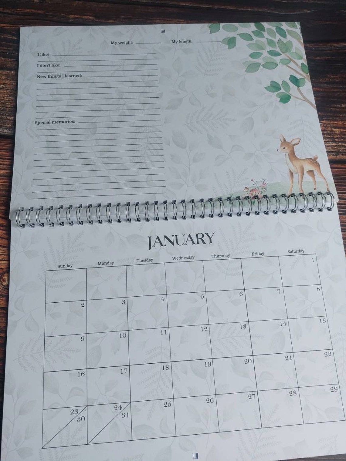 Deer Baby's First Year Calendar Baby Deer First Year - Etsy