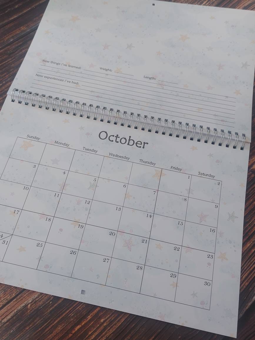 Teddy Bear Baby First Year Calendar Bear First Year Calendar | Etsy