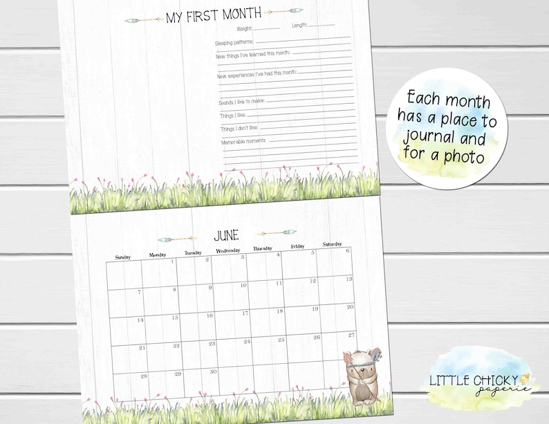 Woodland Animals Baby First Year Calendar Forest Animals | Etsy