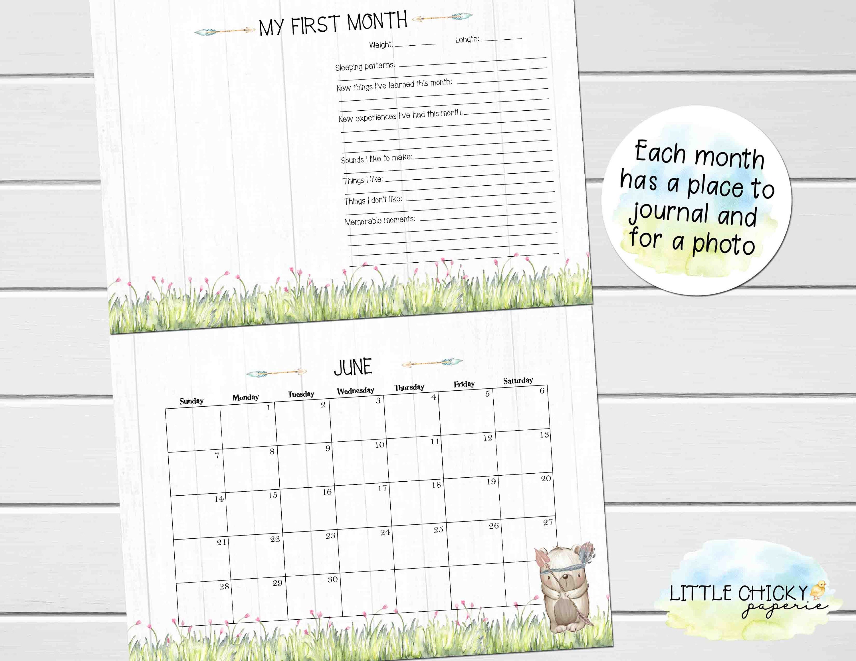 Woodland Animals Baby First Year Calendar Forest Animals - Etsy