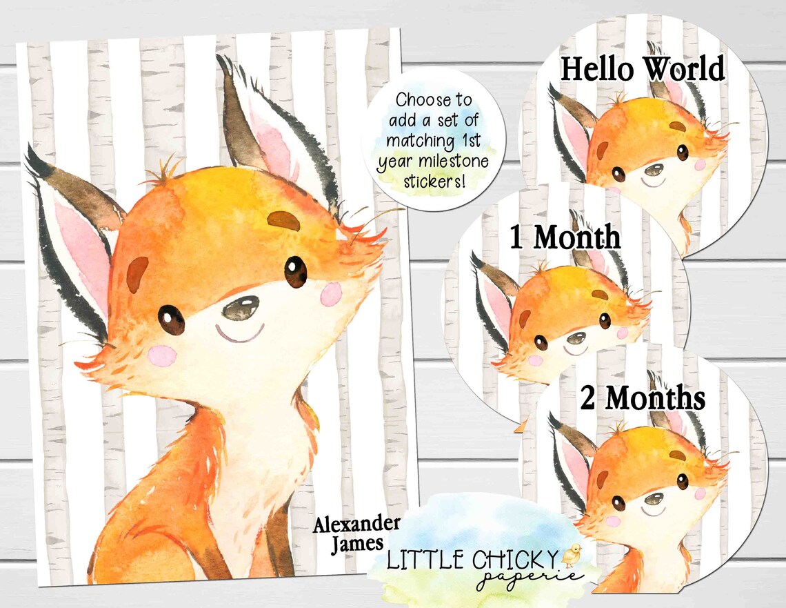 Fox Baby Keepsake Journal Fox Baby Book First Year Baby | Etsy