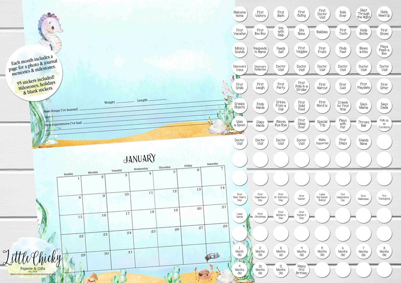 Under the Sea First Year Calendar With Milestone Stickers - Etsy