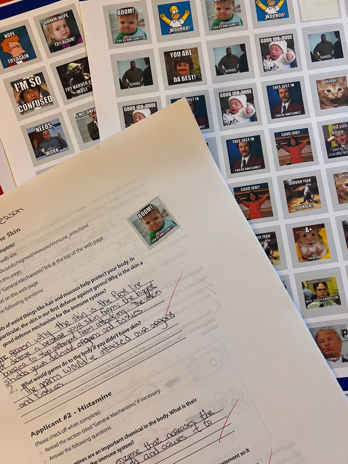 Random Meme Sticker Pack for Teachers (avery Compatible) - 1” Stickers ...