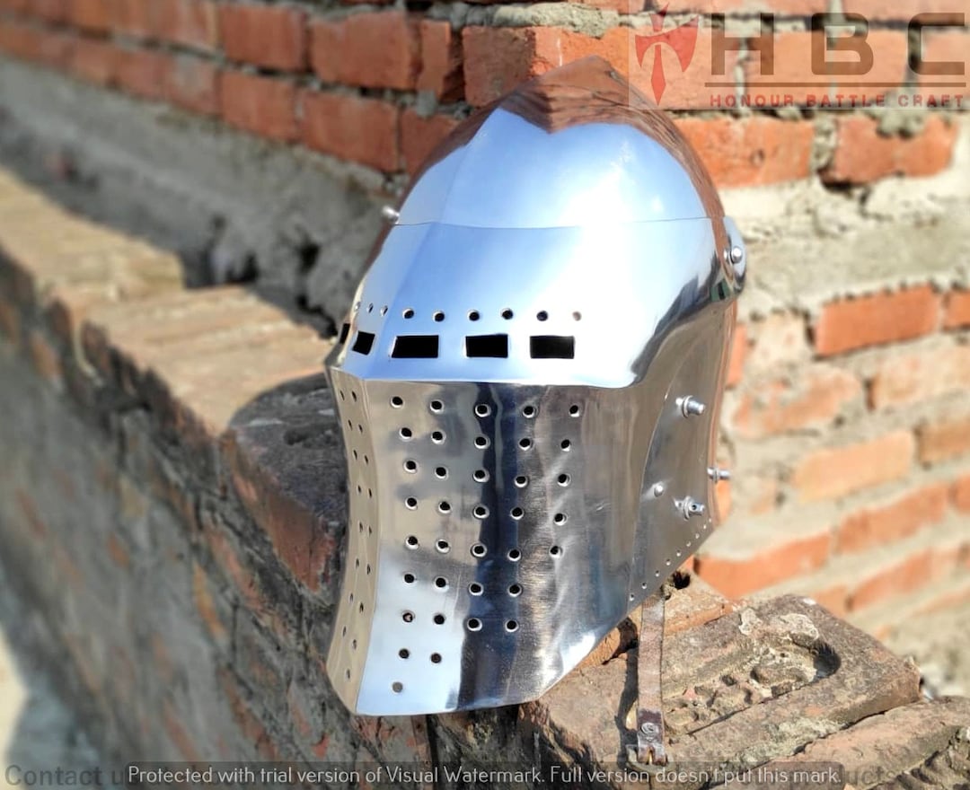 Shiny Griffon Helmet (buhurt/sca/medieval Armoured Combat/imcf/hmb ...
