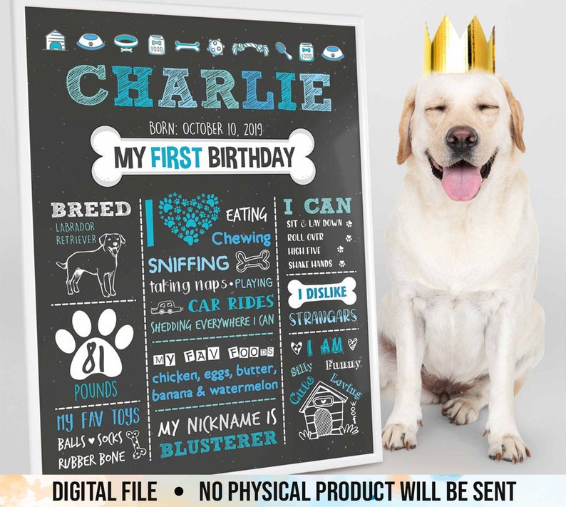 Dog First Birthday Chalkboard Dog Birthday Sign Dog Party | Etsy
