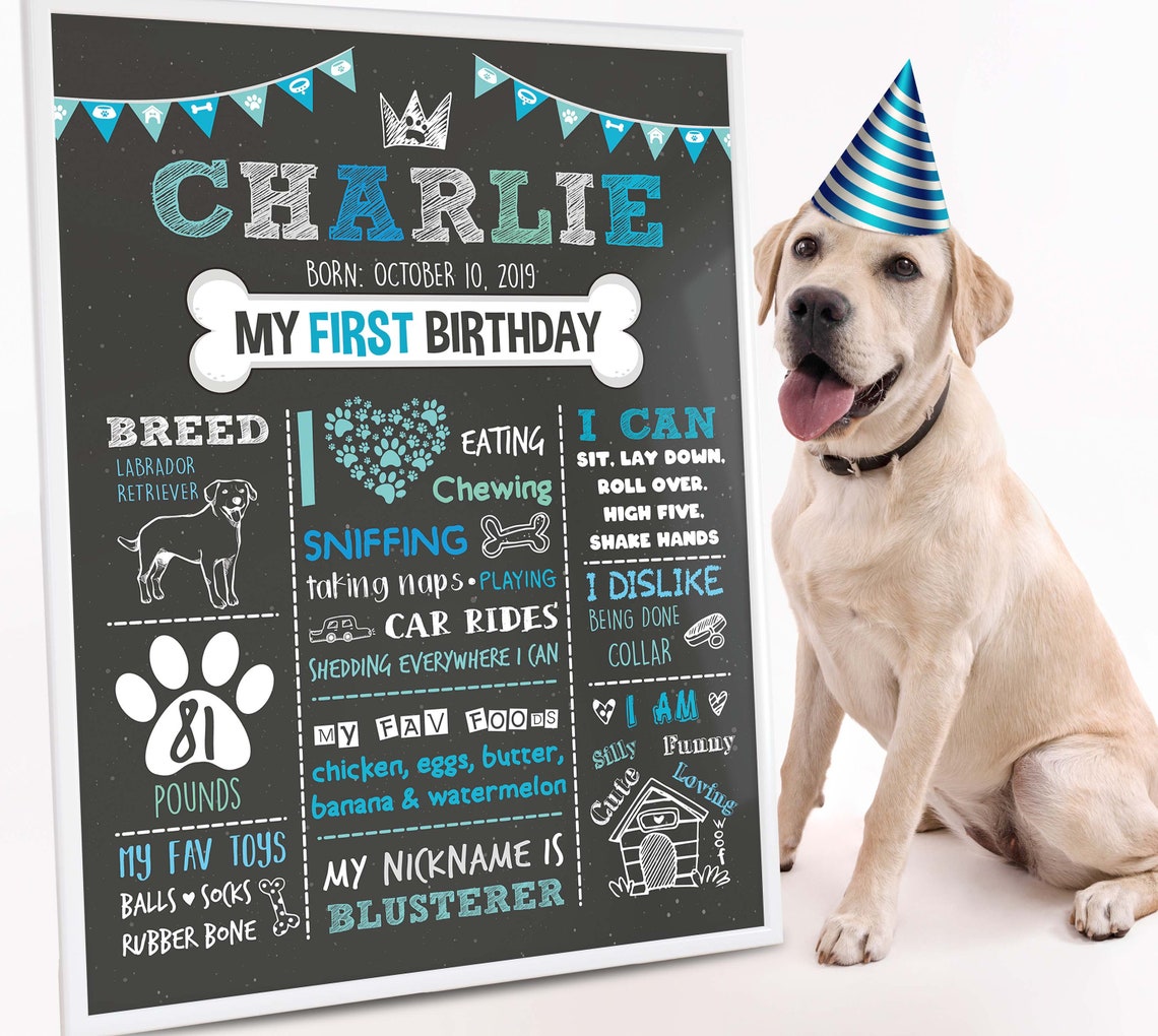 Dog First Birthday Sign, Puppy Birthday Poster, Dog Party Decoration ...