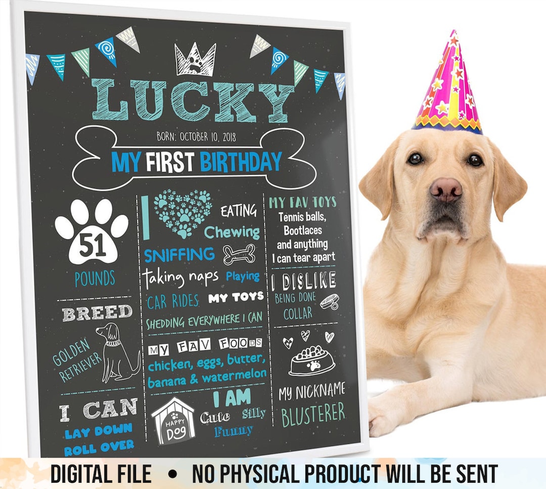 Dog 1st Birthday Decorations, Puppy First Bday Party Idea Decor ...