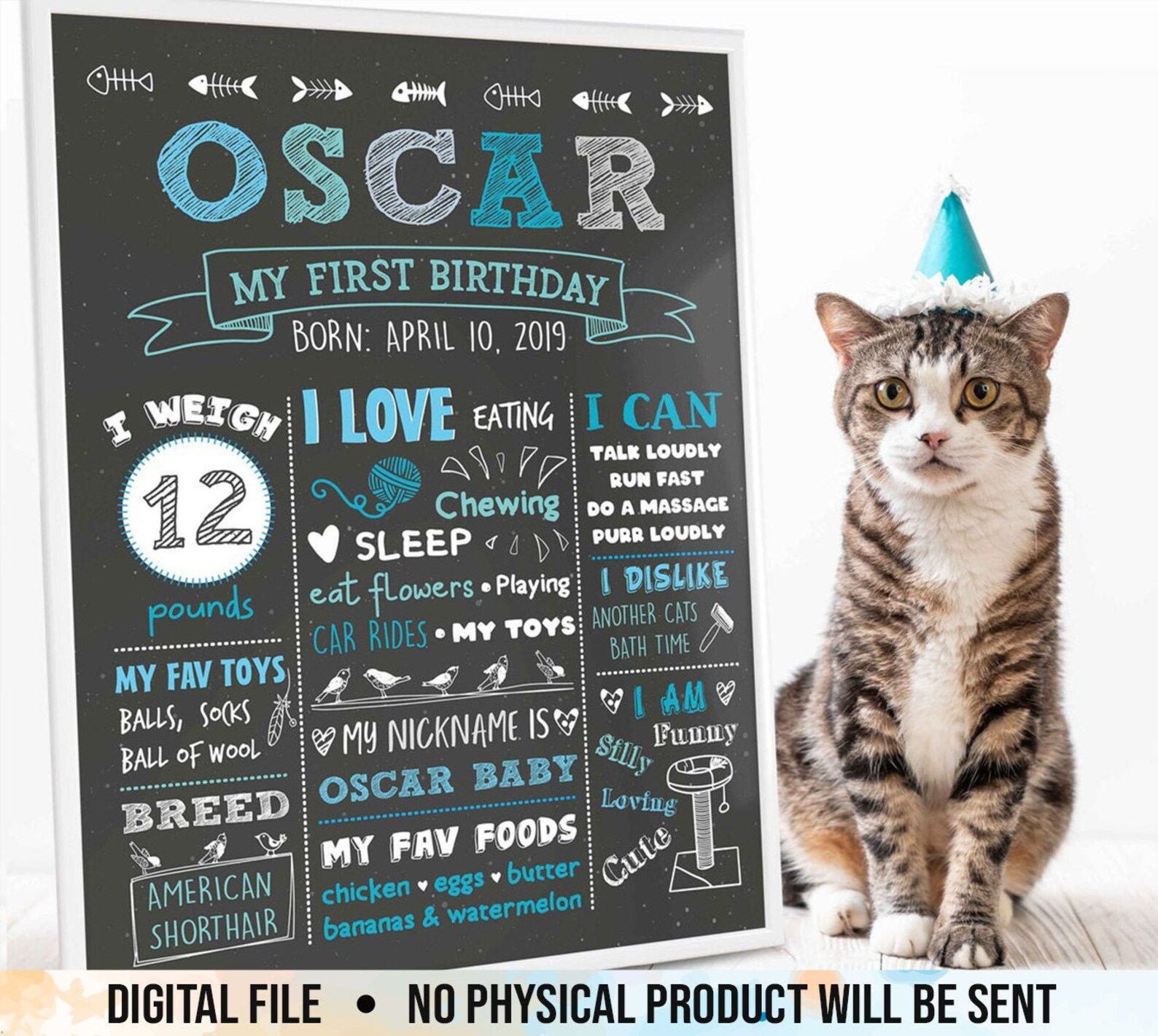 Cat Birthday Chalkboard Cat First Birthday Cat Birthday | Etsy