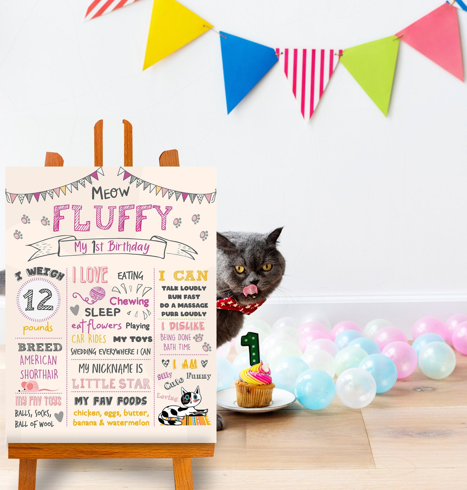 Cat Birthday Chalkboard, Kitty Birthday, Pet 1st Birthday Chalkboard ...