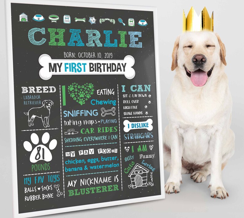 Dog's Personalized Custom Sign Dog First Birthday - Etsy