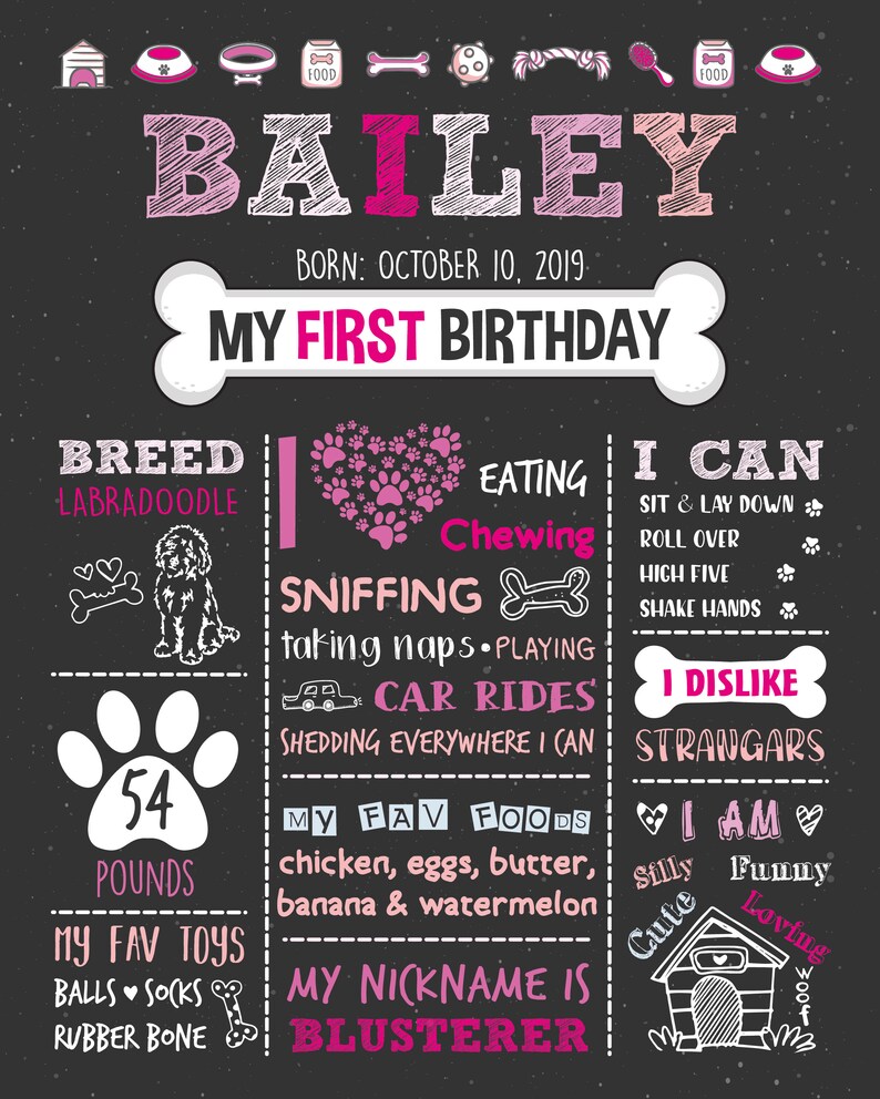 Dog's Personalized Custom Sign Dog First Birthday | Etsy