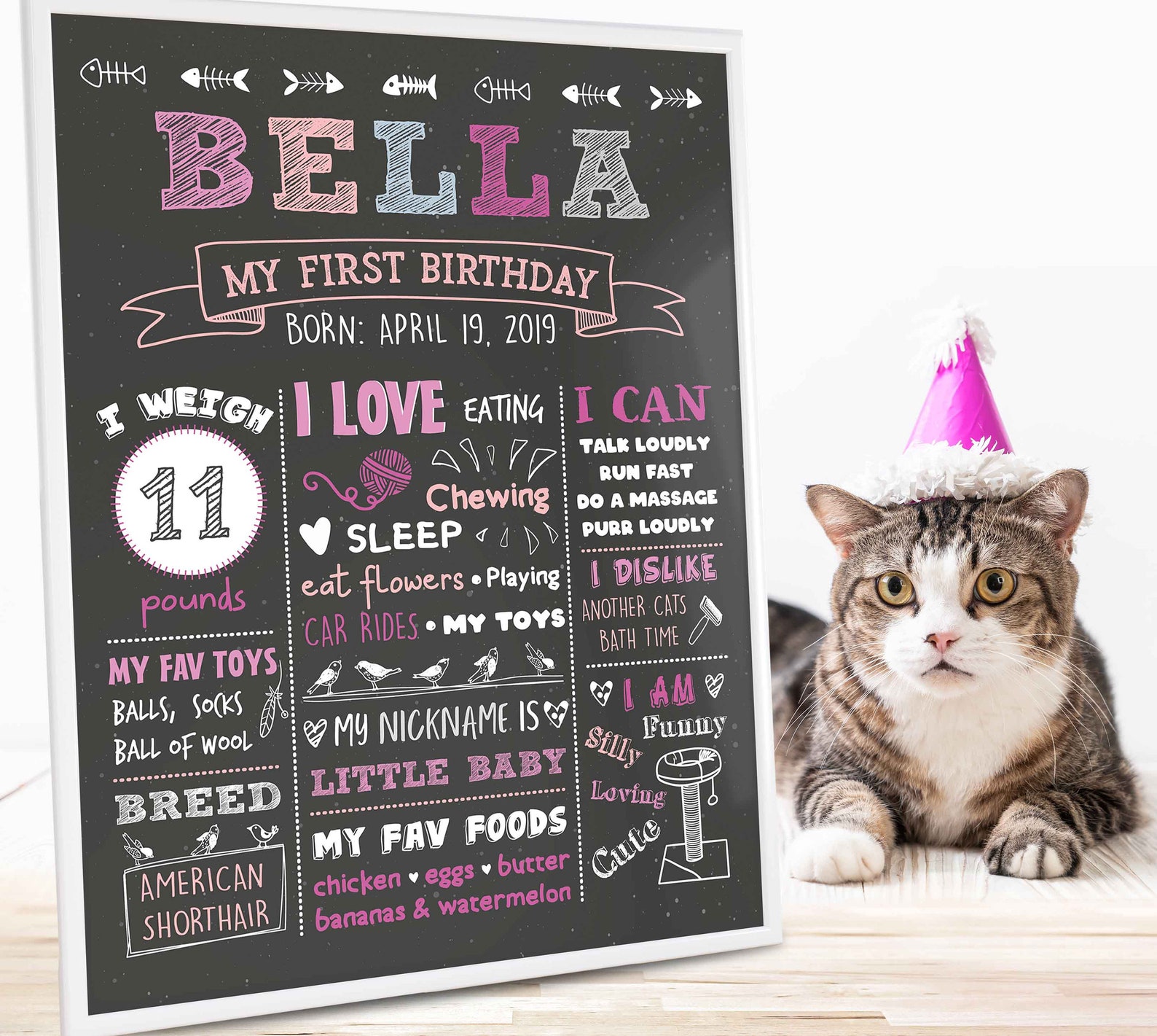 Cat Birthday Chalkboard Kitten First Birthday Poster Kitty | Etsy