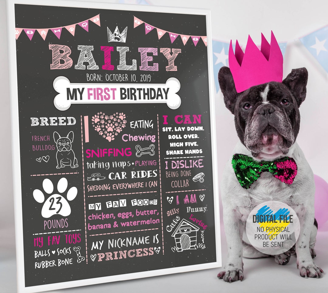 Pet 1st Birthday Chalkboard, Dog Birthday Chalkboard Sign, Dog Party ...