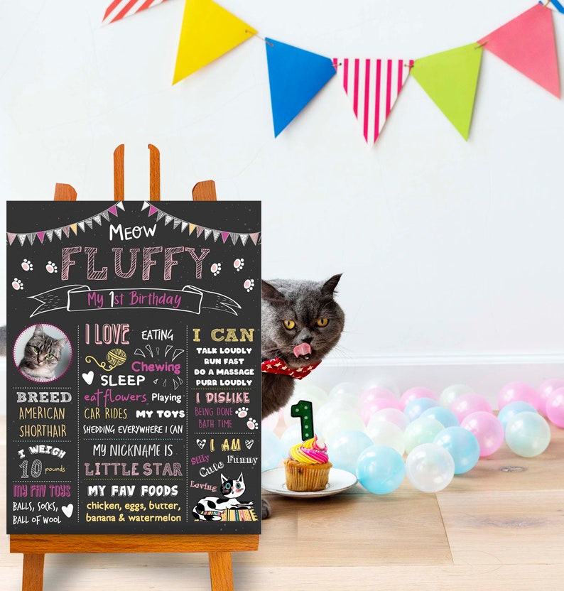 Cat Birthday Chalkboard With Photo Kitty First Birthday Sign - Etsy