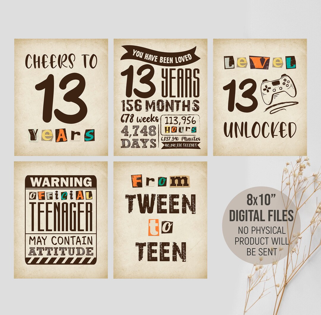 Cheers to 13 Years Signs, 13th Birthday Decorations, Official Teenager ...