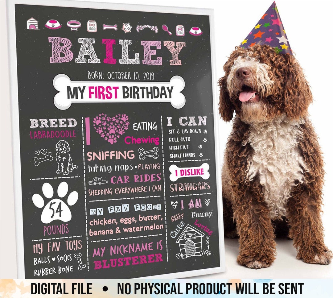 Dog's Personalized Custom Sign, Dog First Birthday Chalkboard, Dog ...