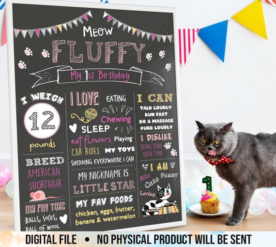 Personalized Cat Birthday Board Sign Kitty First Birthday | Etsy