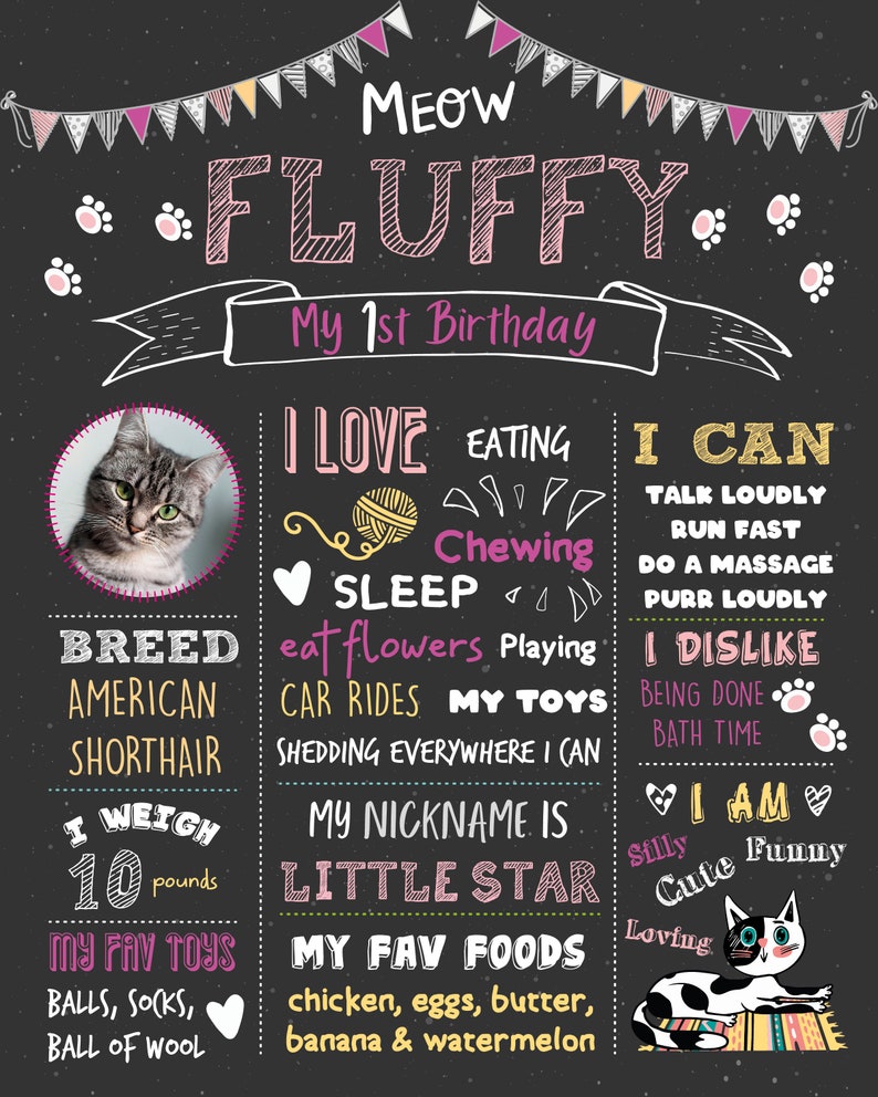 Cat Birthday Chalkboard With Photo Kitty First Birthday Sign - Etsy