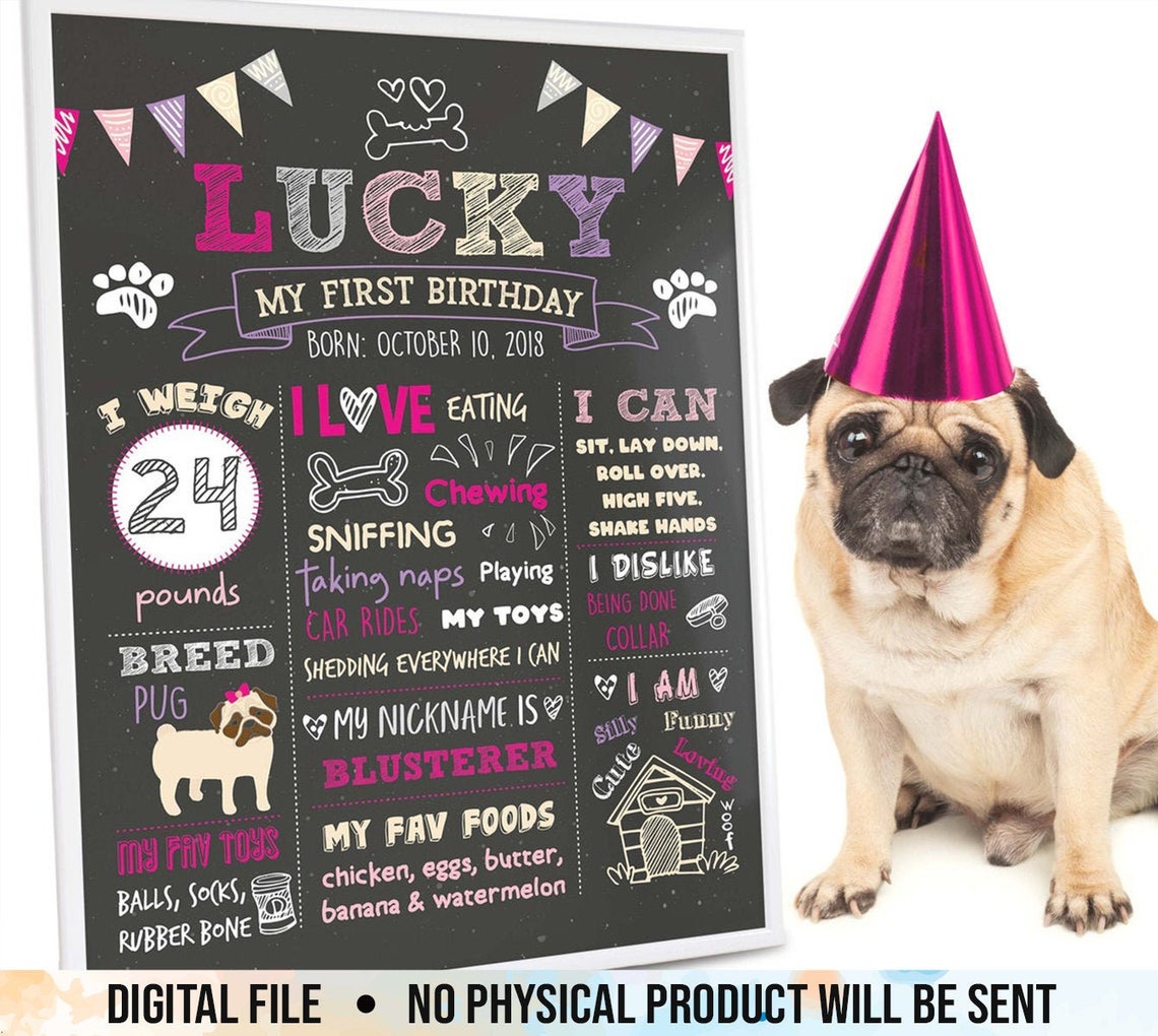 Dog Birthday Chalkboard Sign Pet 1st Birthday Sign Dog First | Etsy