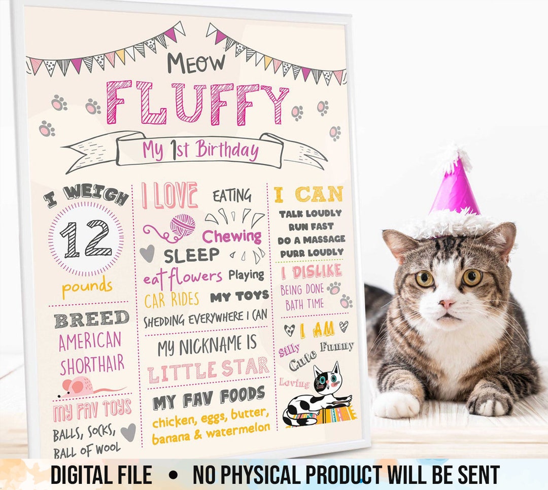 Cat Birthday Chalkboard, Kitty Birthday, Pet 1st Birthday Chalkboard ...