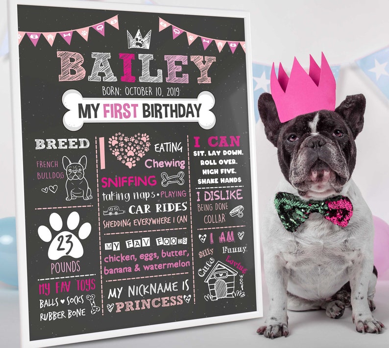 Dog First Birthday Sign Puppy Birthday Poster Dog Party | Etsy