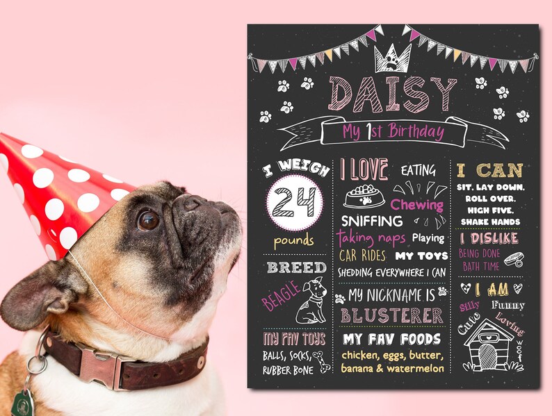 Dog Birthday Chalkboard Sign Puppy Dog Pet 1st Birthday | Etsy