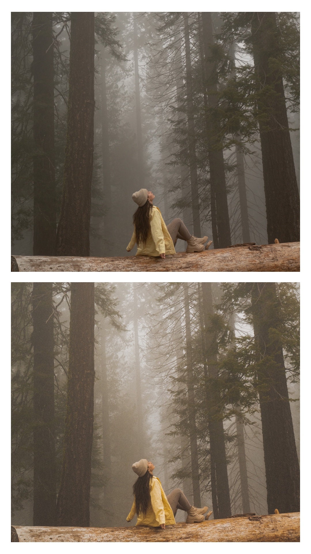 Daydreamer Film Preset Pack for Lightroom Mobile - Etsy