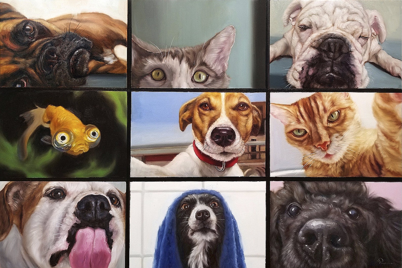 Animal Zoom Art Print - Etsy