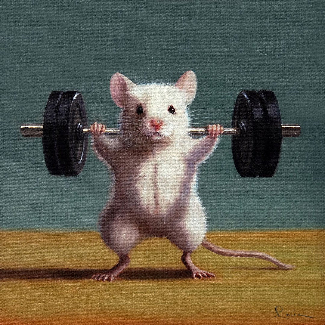 Gym Rat Back Squat - Art Print - Etsy